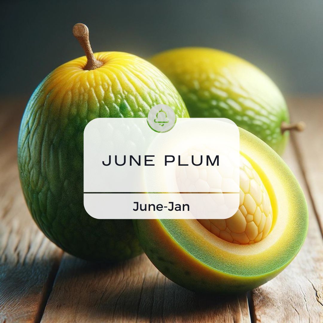 The Juicy Truth About The Seasonality of Tropical Fruits